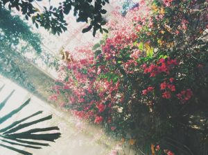 Secret Garden Nails & Beautique Bothell – Healthy · Natural · Organic ...